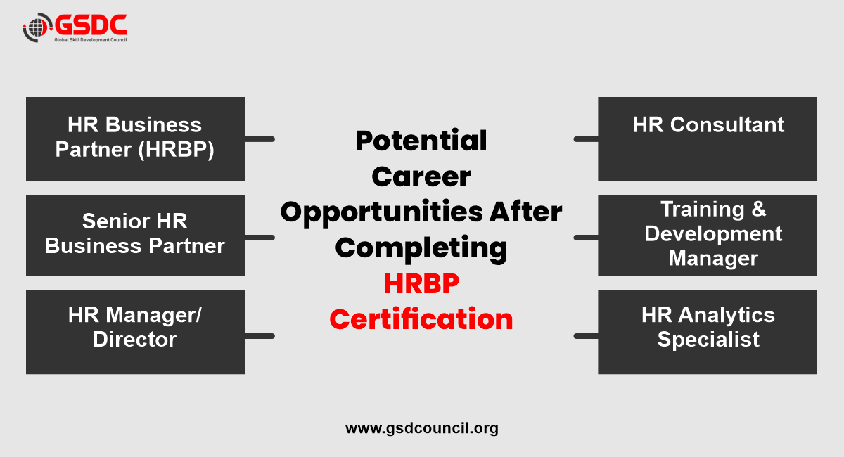 Key Insights Of Average HR Business Partner Salary In 2024 Key Insights Of Average HR Business Partner Salary In 2024